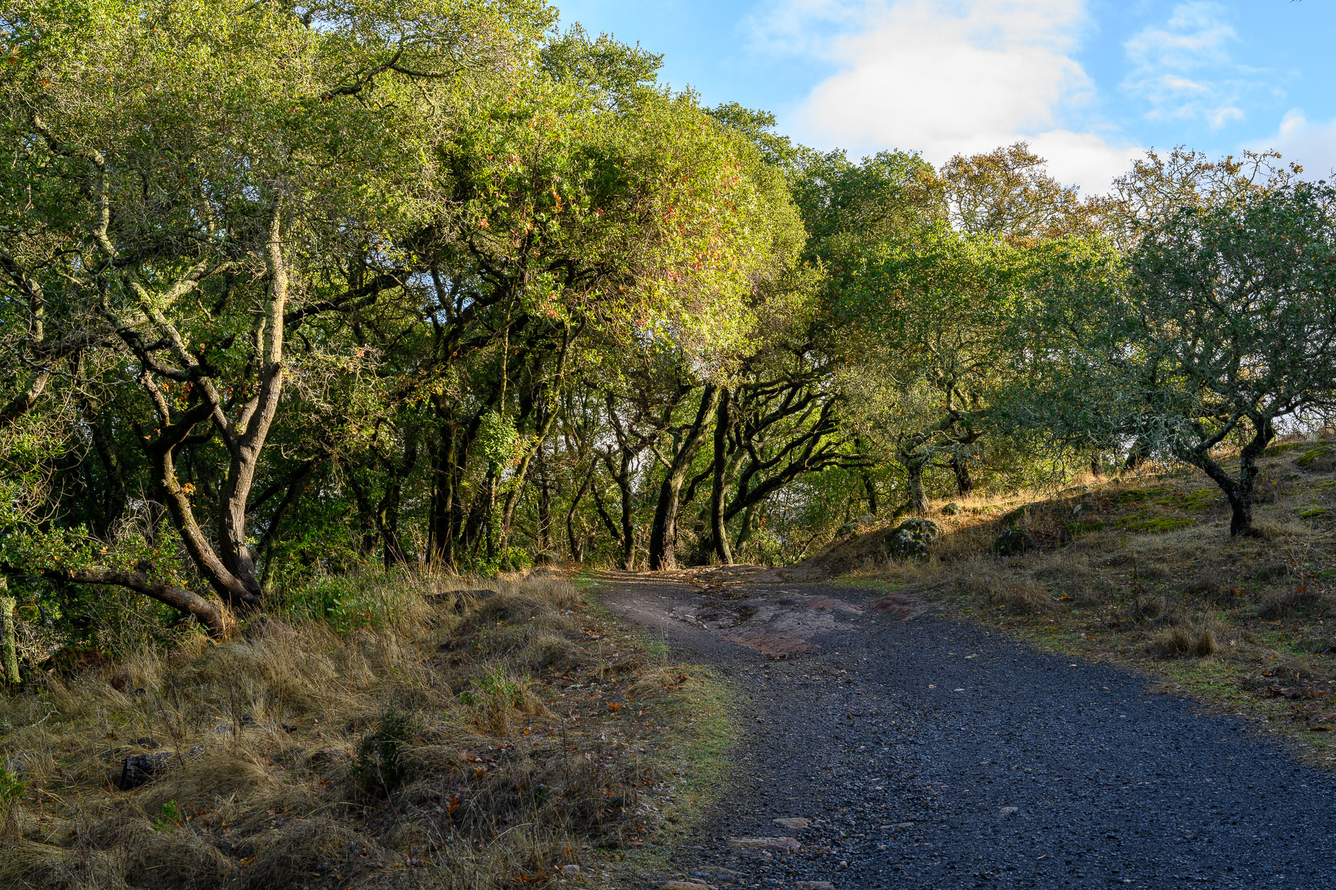 Skyline Wilderness Park | CK Outside