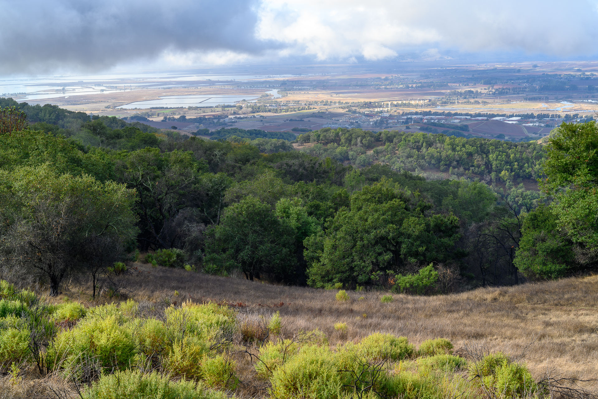 Skyline Wilderness Park | CK Outside