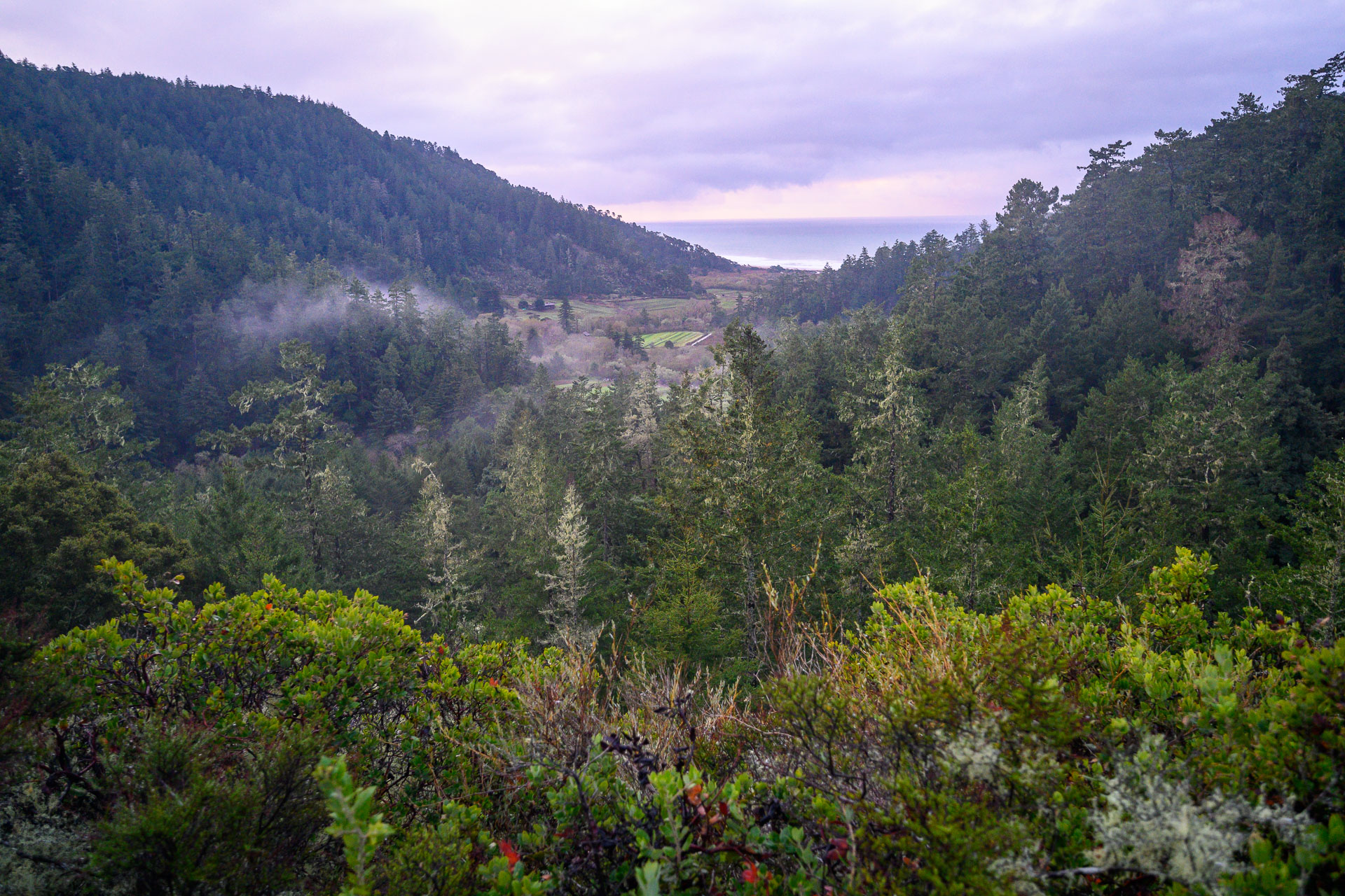 Big Basin State Park | CK Outside