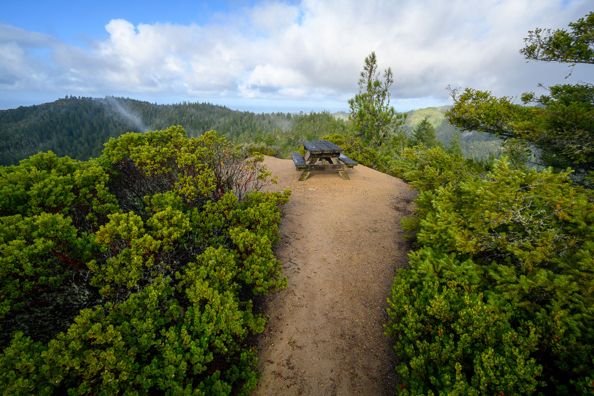 Big Basin State Park | CK Outside