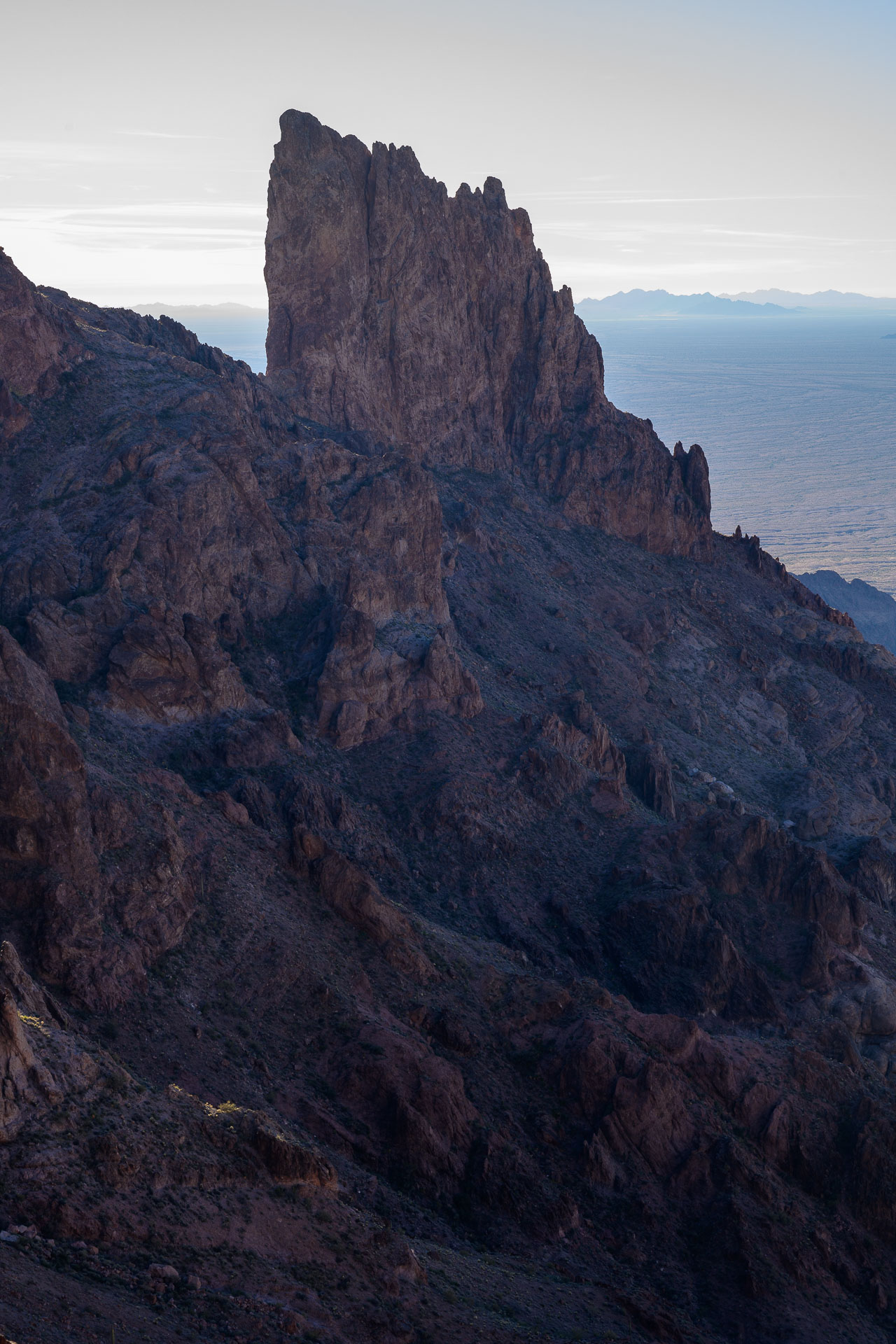 Signal Peak | CK Outside