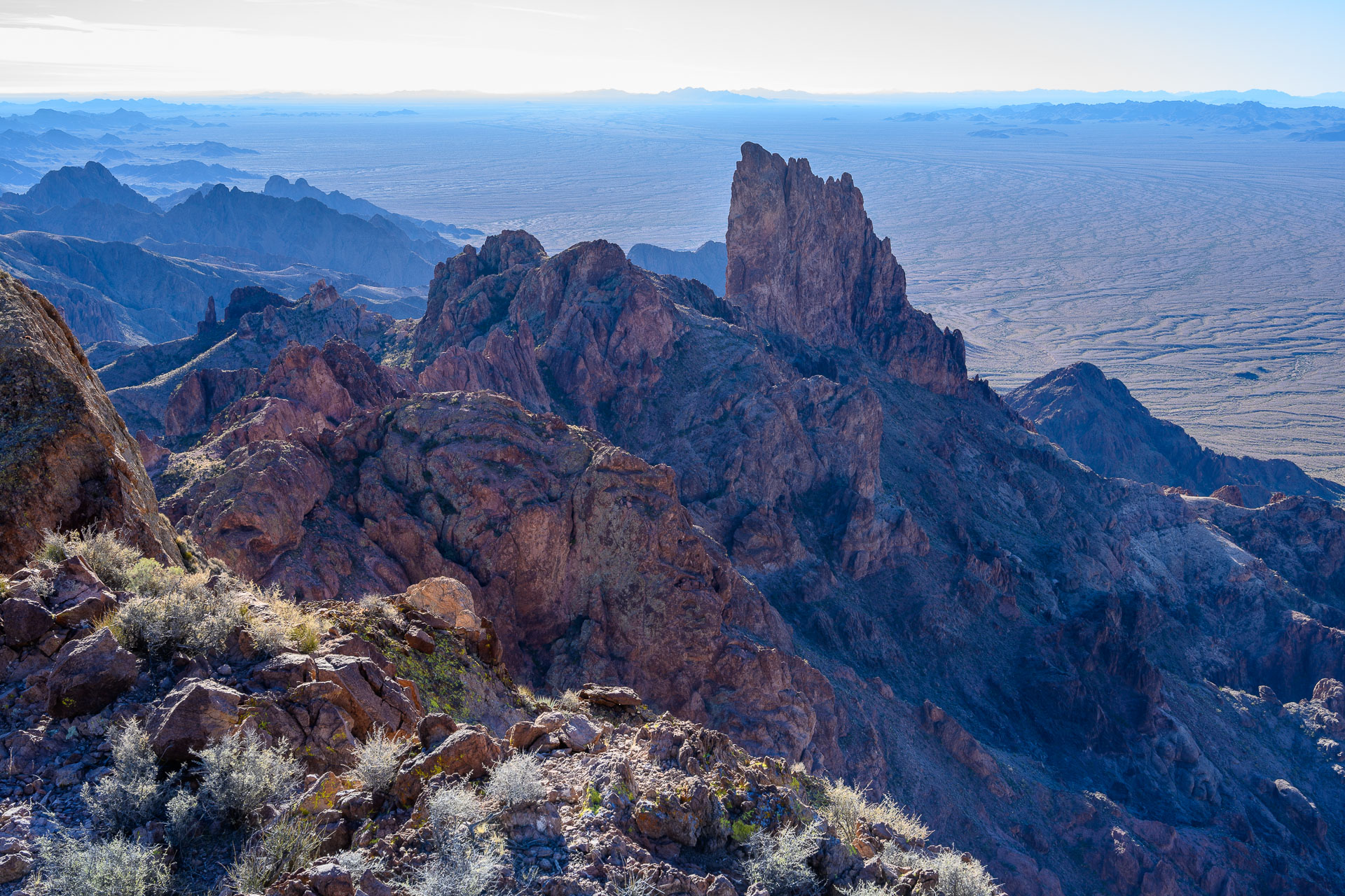 Signal Peak | CK Outside
