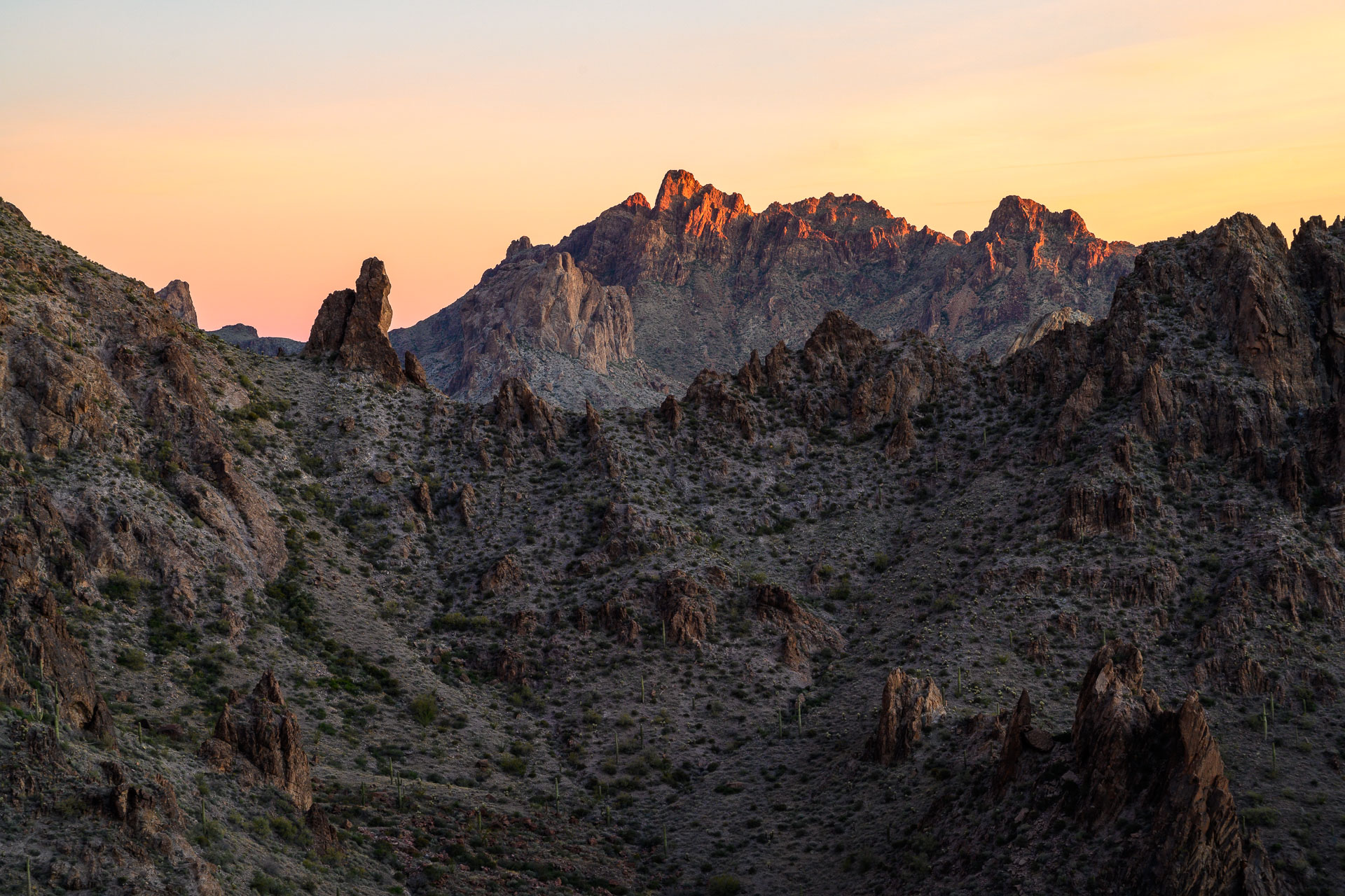 Signal Peak | CK Outside