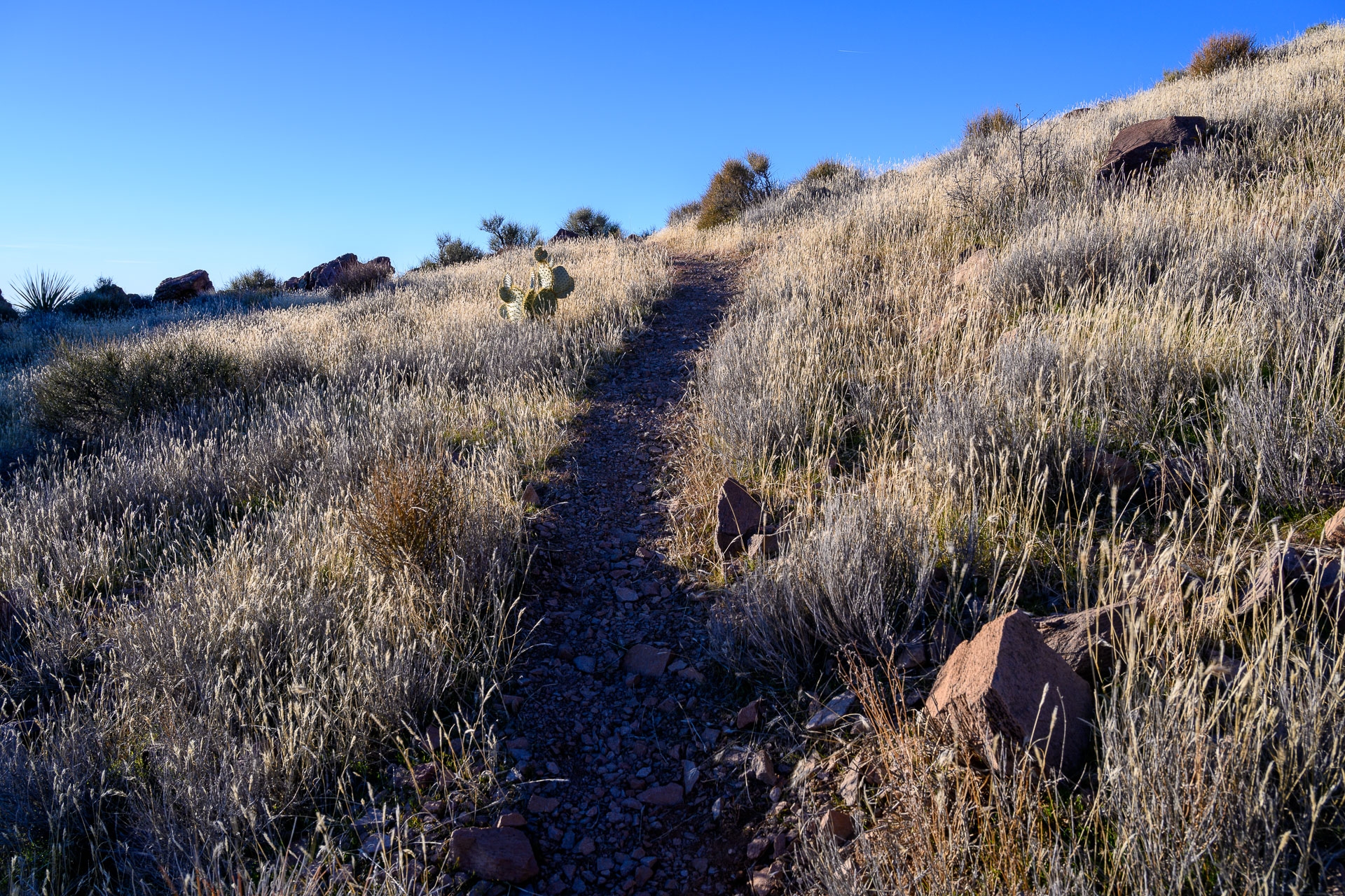 Signal Peak | CK Outside