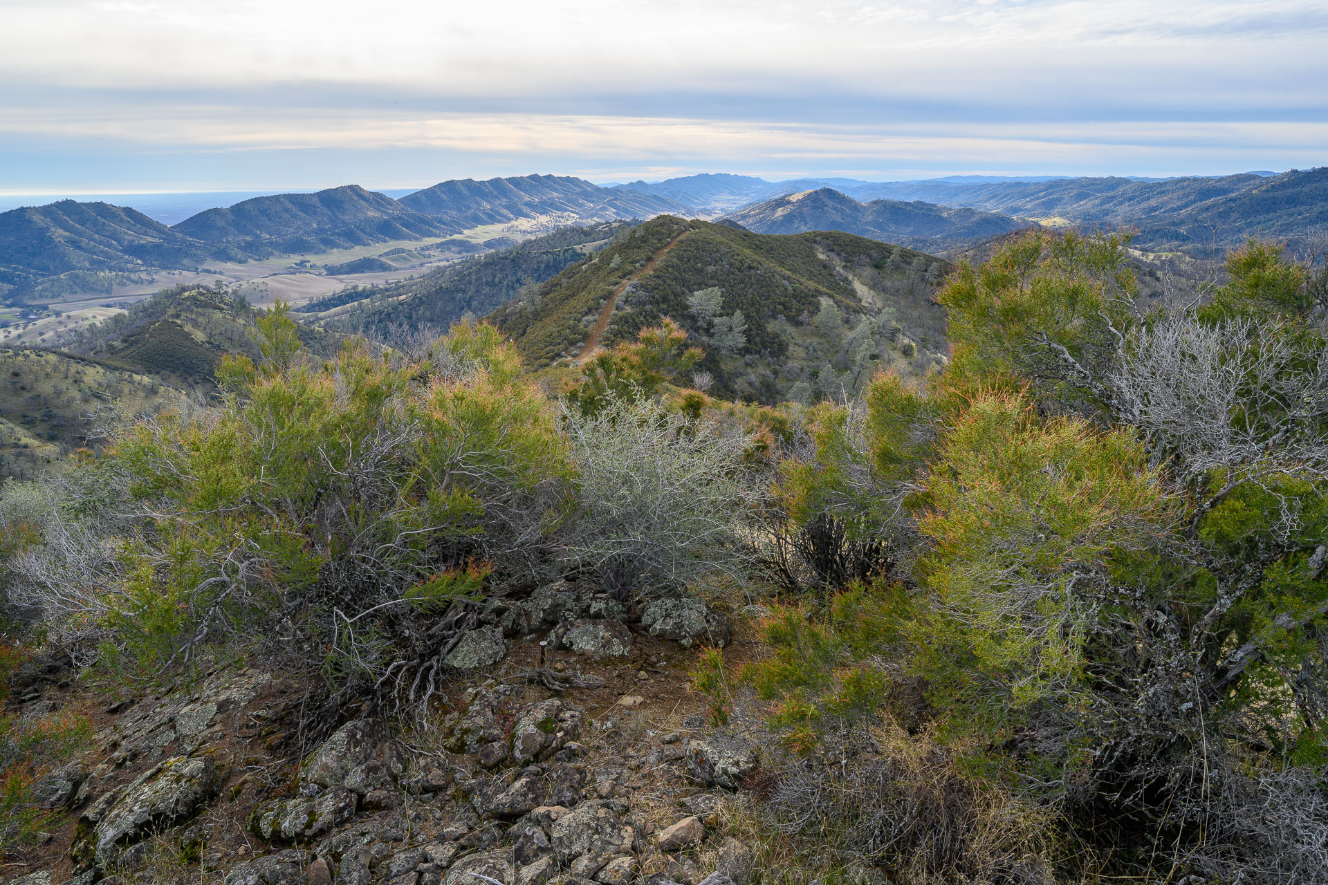 Greasewood Mountain | CK Outside