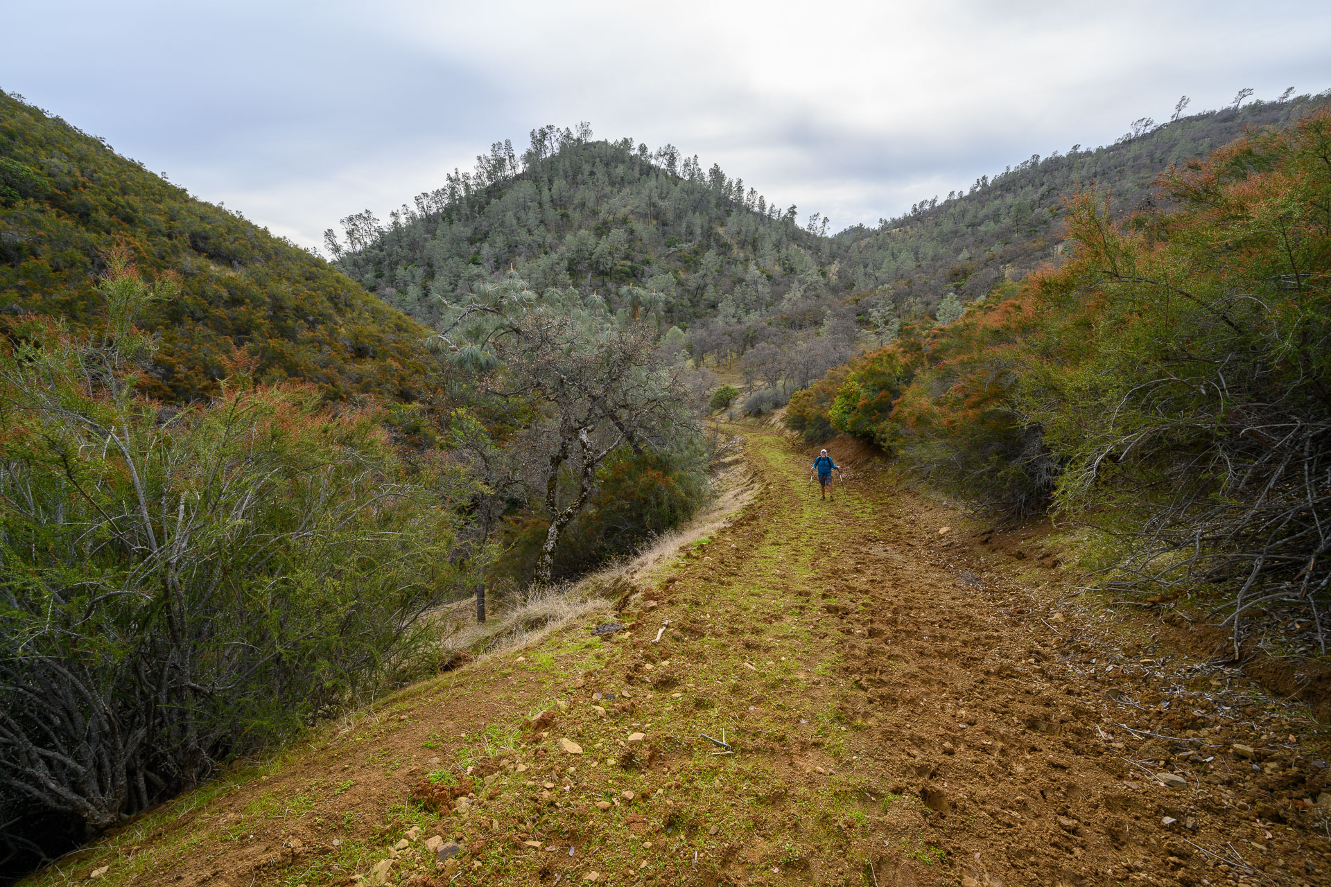 Greasewood Mountain | CK Outside