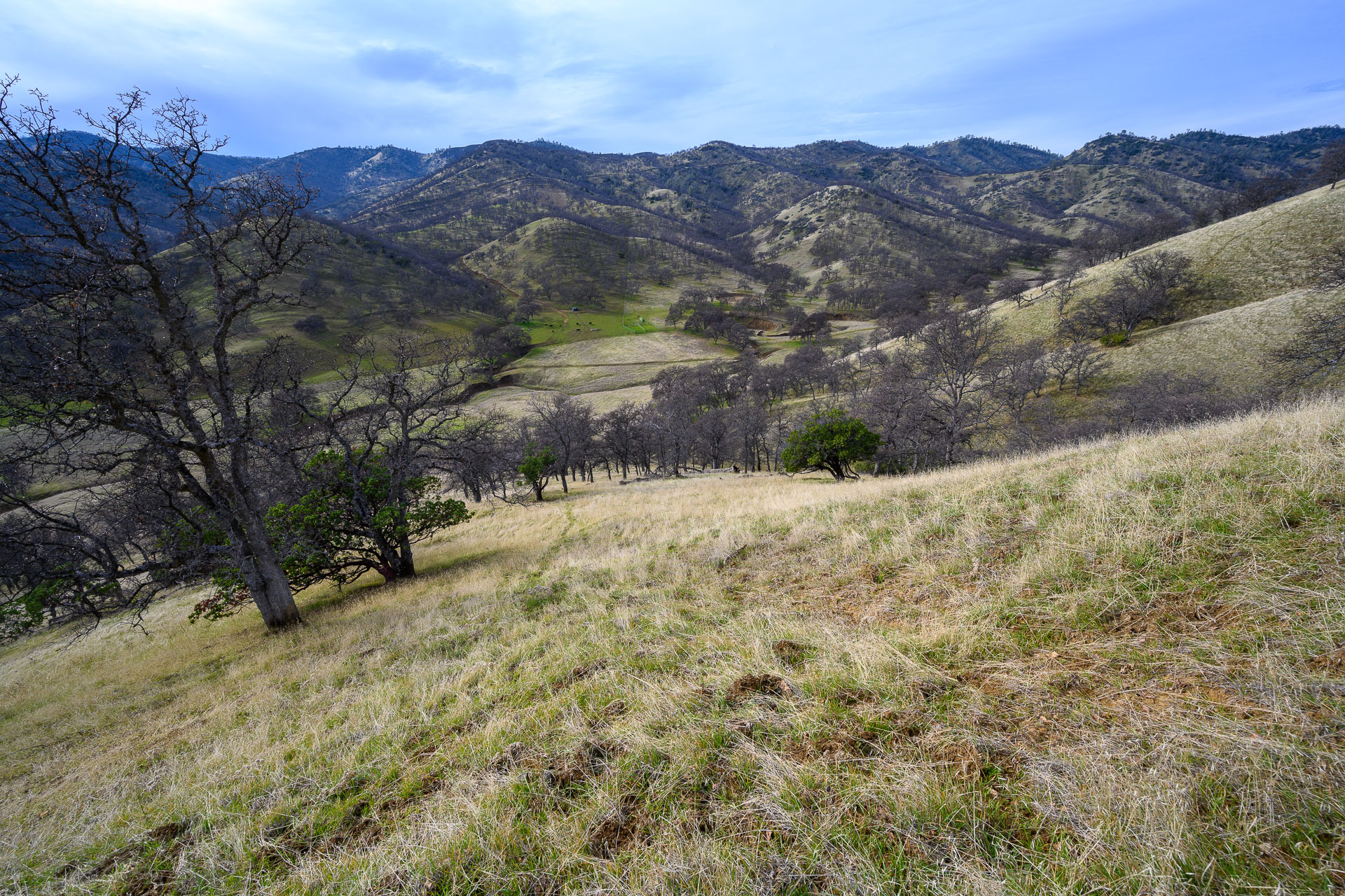 Greasewood Mountain | CK Outside