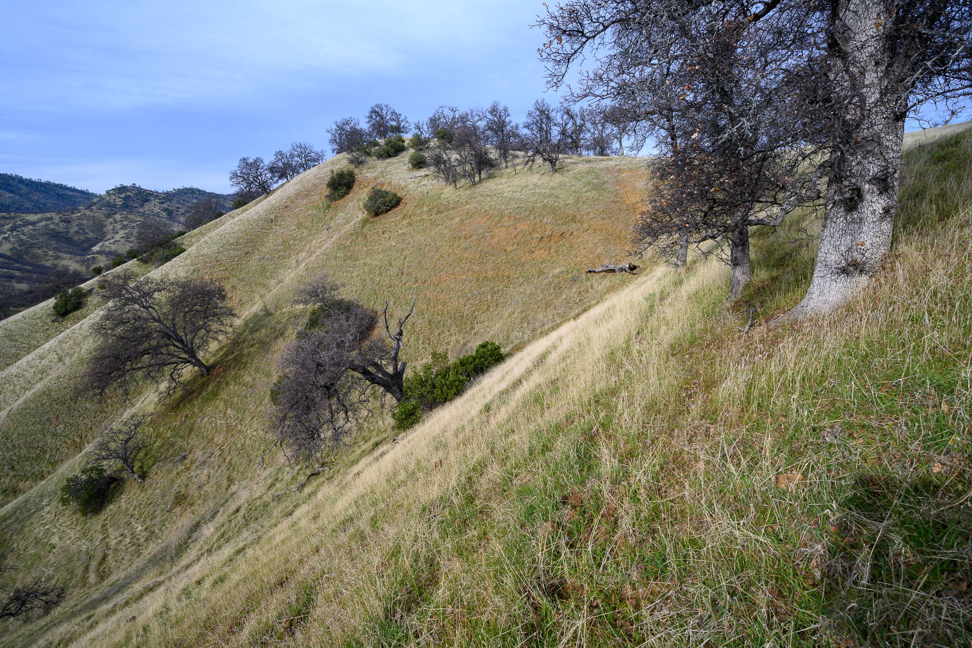 Greasewood Mountain | CK Outside