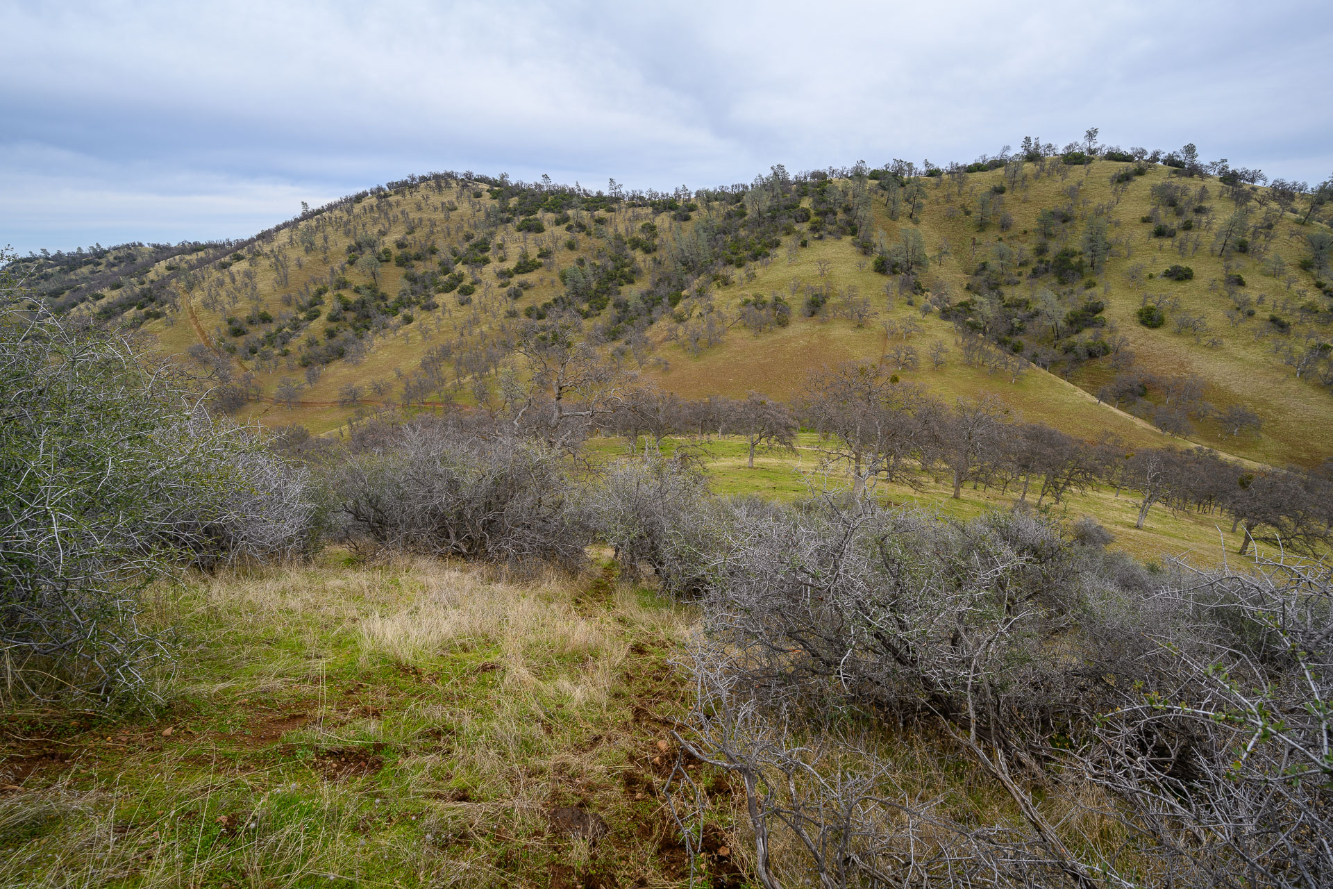 Greasewood Mountain | CK Outside