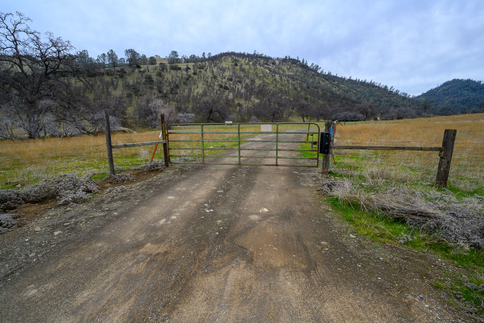 Greasewood Mountain | CK Outside