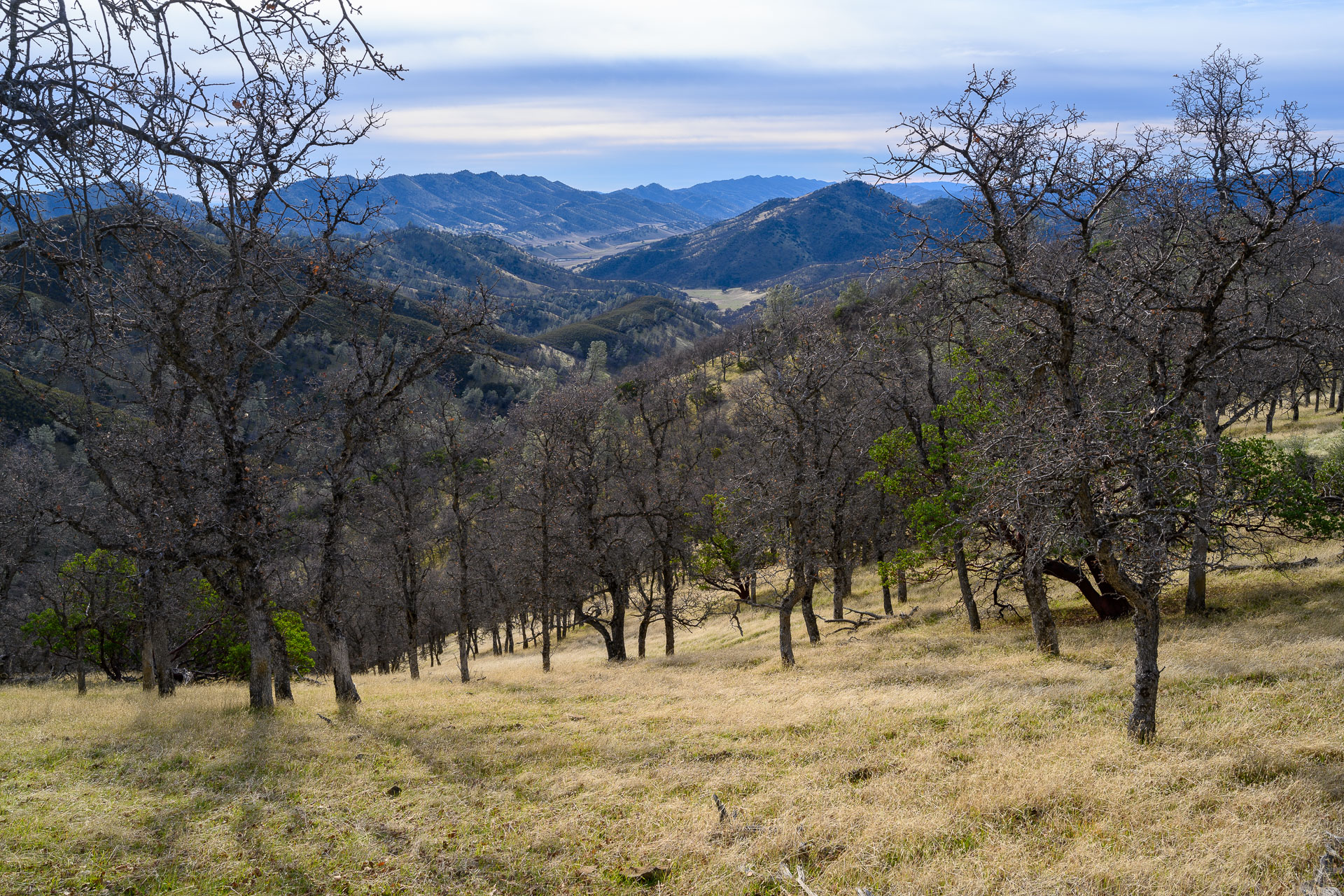 Greasewood Mountain | CK Outside