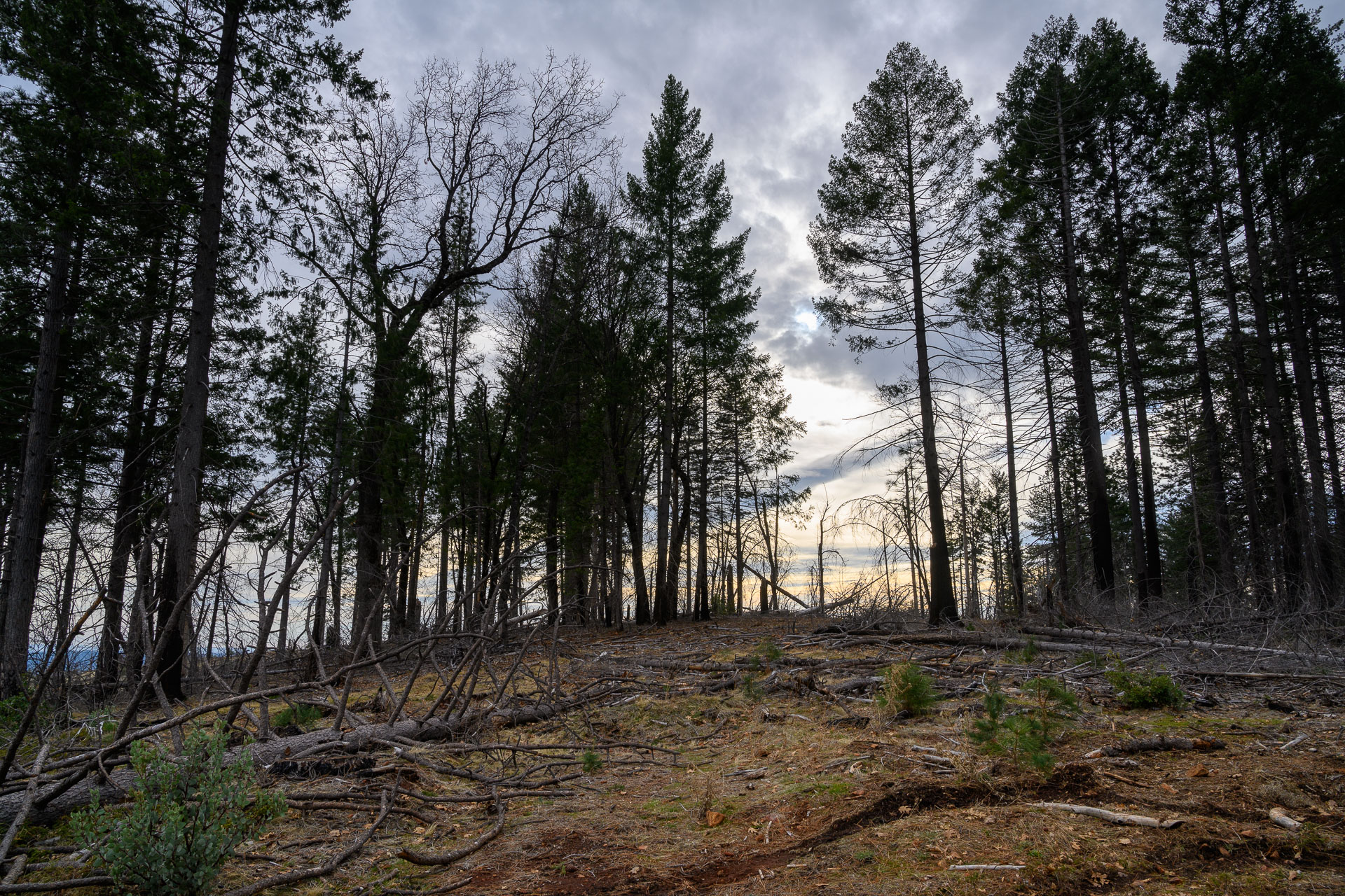 Slate Mountain, Big Mountain | CK Outside
