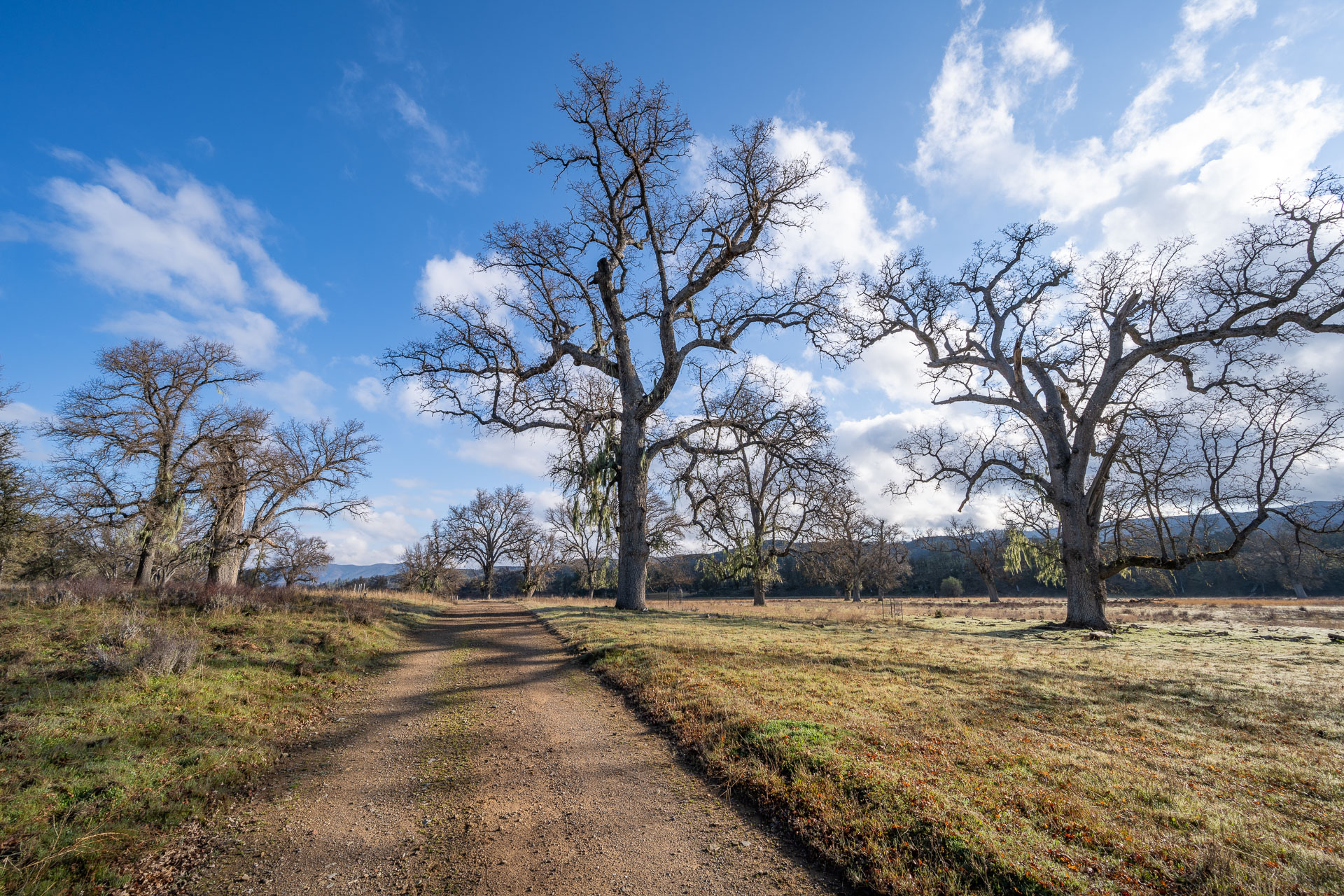 Henry Coe State Park | CK Outside