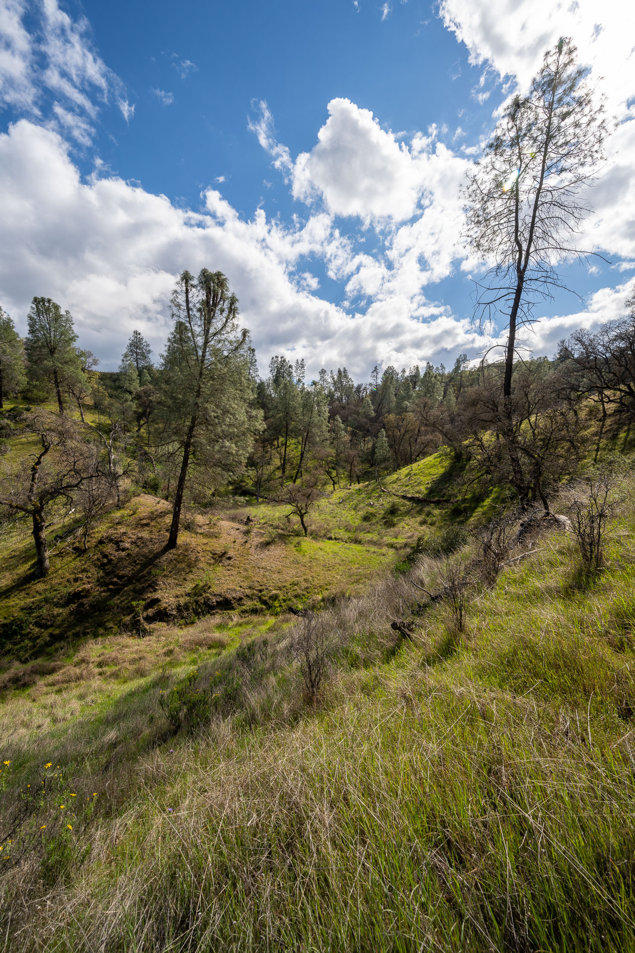 Henry Coe State Park | CK Outside