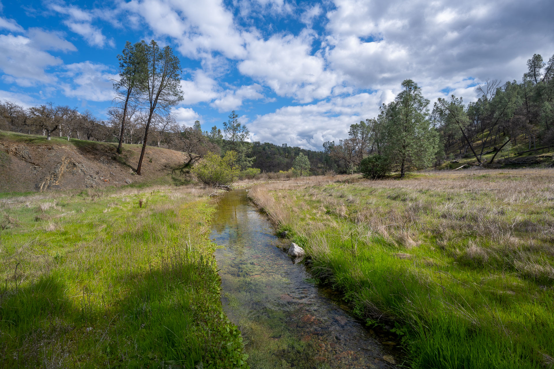 Henry Coe State Park | CK Outside