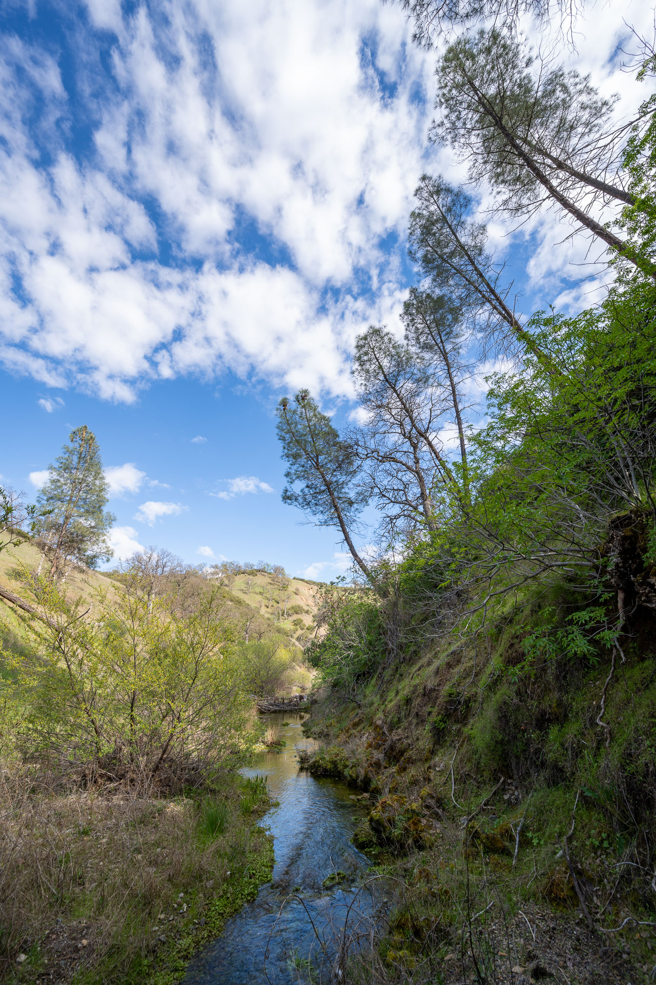 Henry Coe State Park | CK Outside