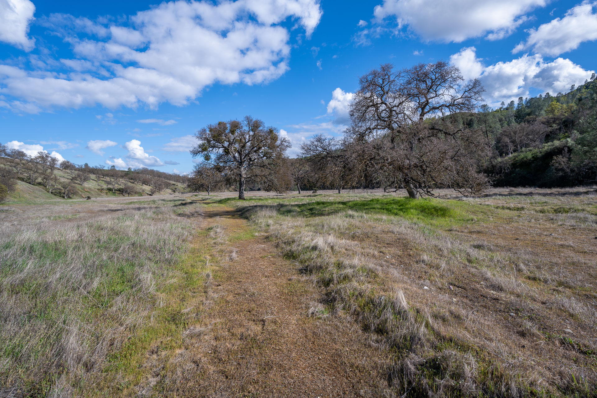 Henry Coe State Park | CK Outside