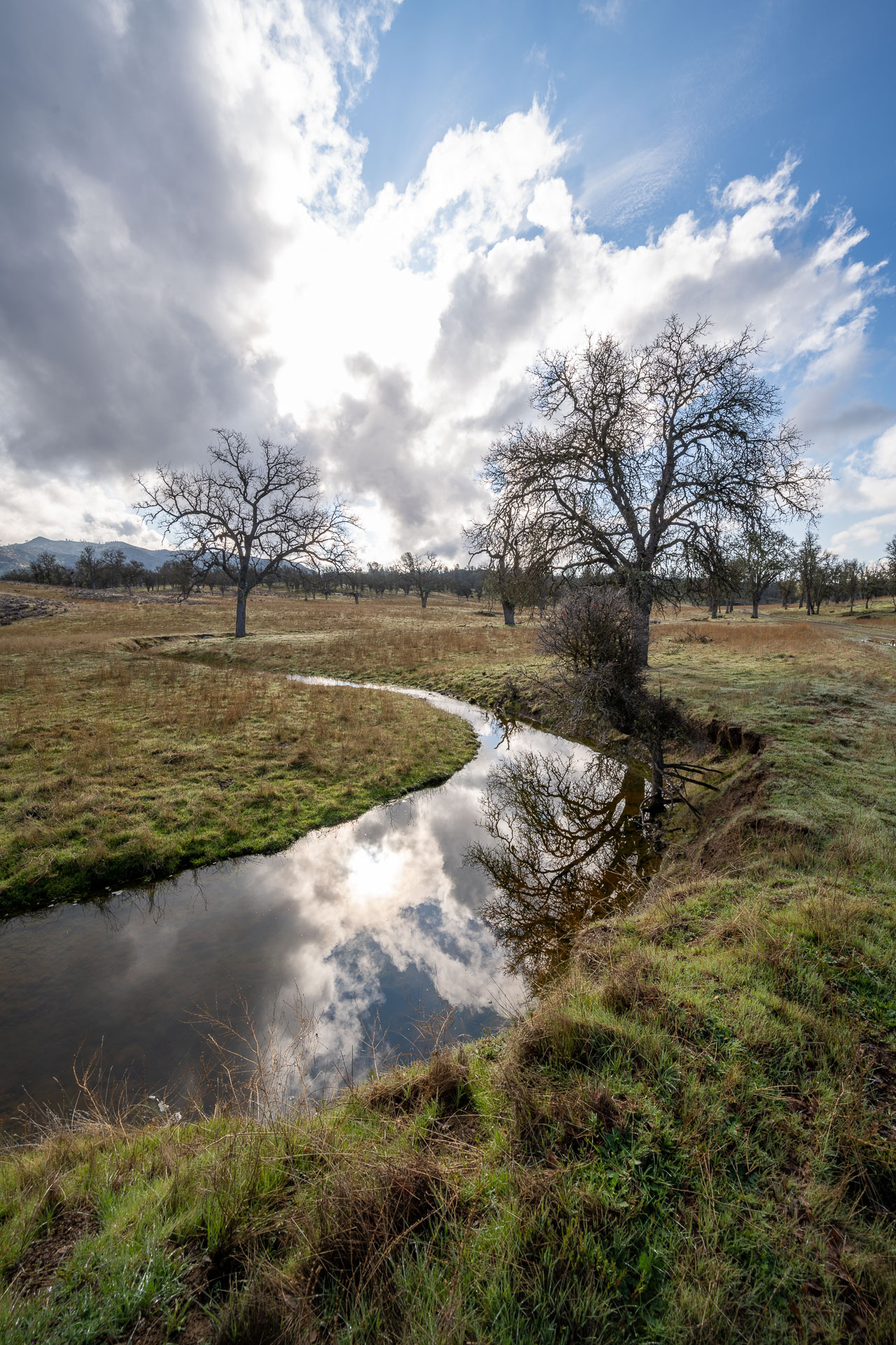Henry Coe State Park | CK Outside