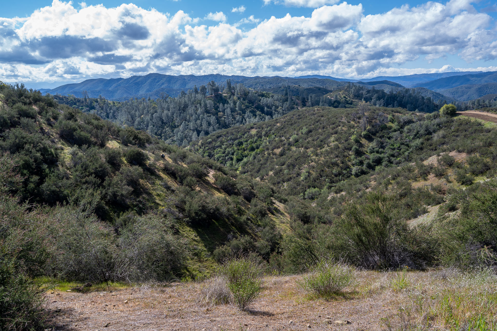 Henry Coe State Park | CK Outside