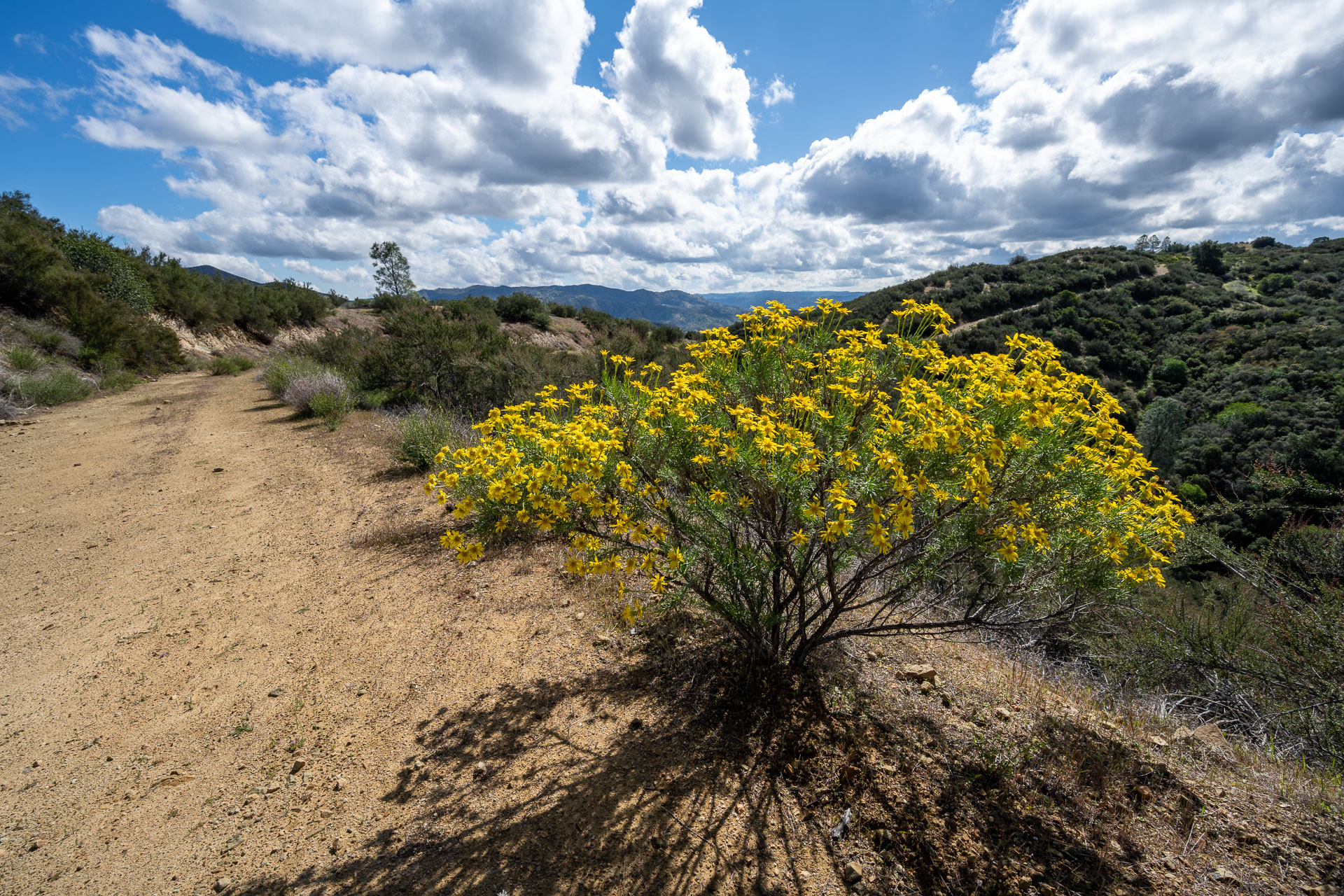 Henry Coe State Park | CK Outside