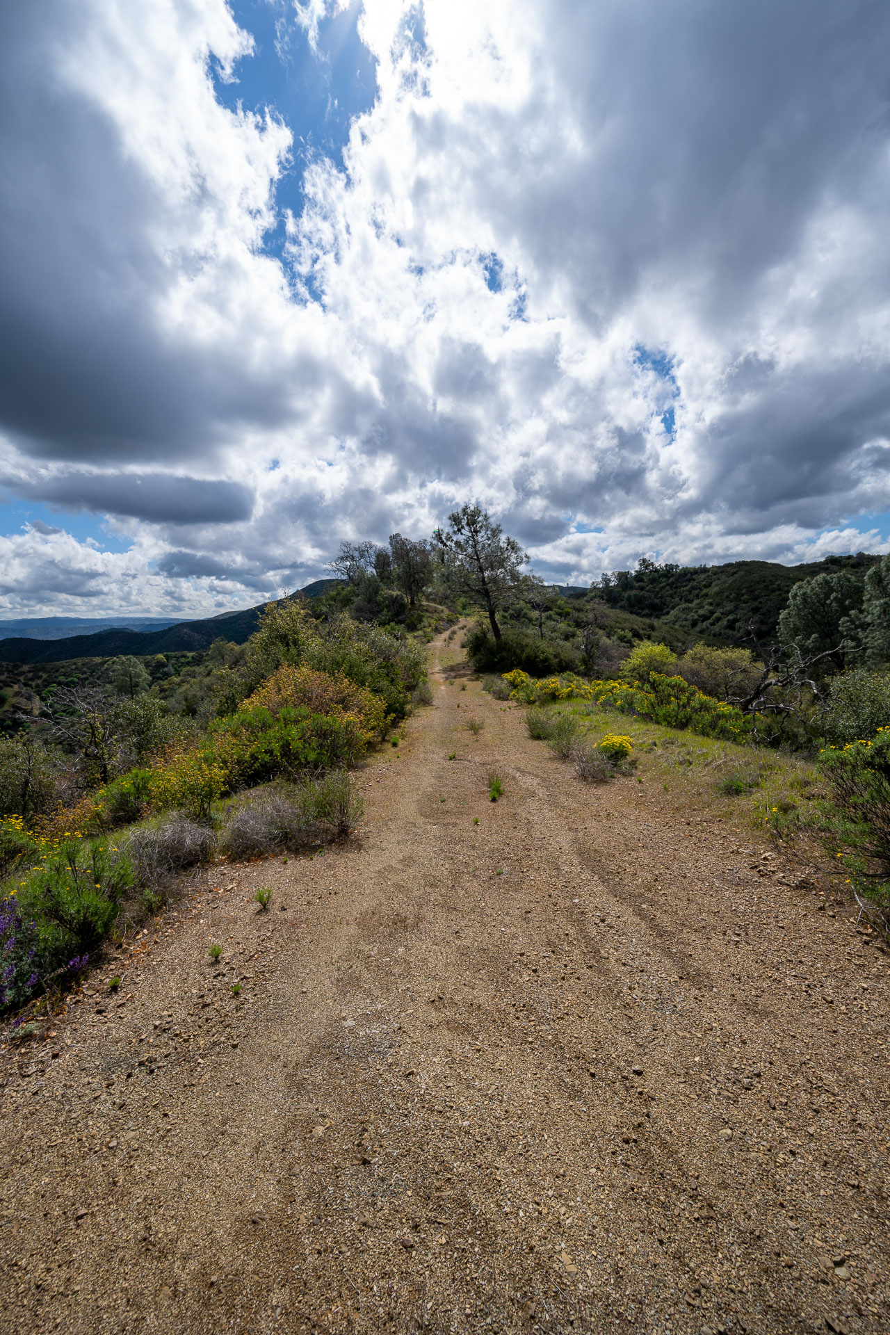 Henry Coe State Park | CK Outside