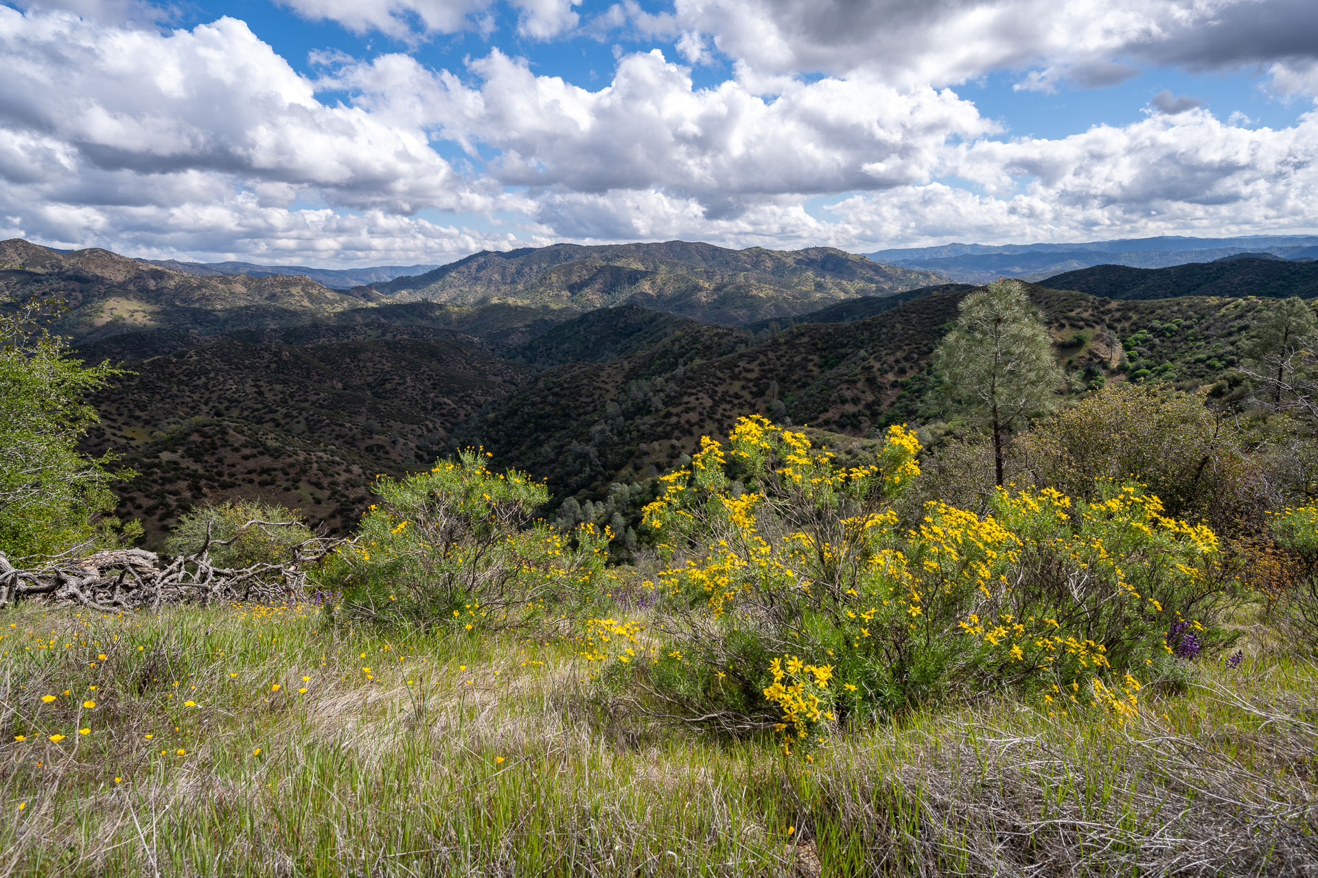 Henry Coe State Park | CK Outside
