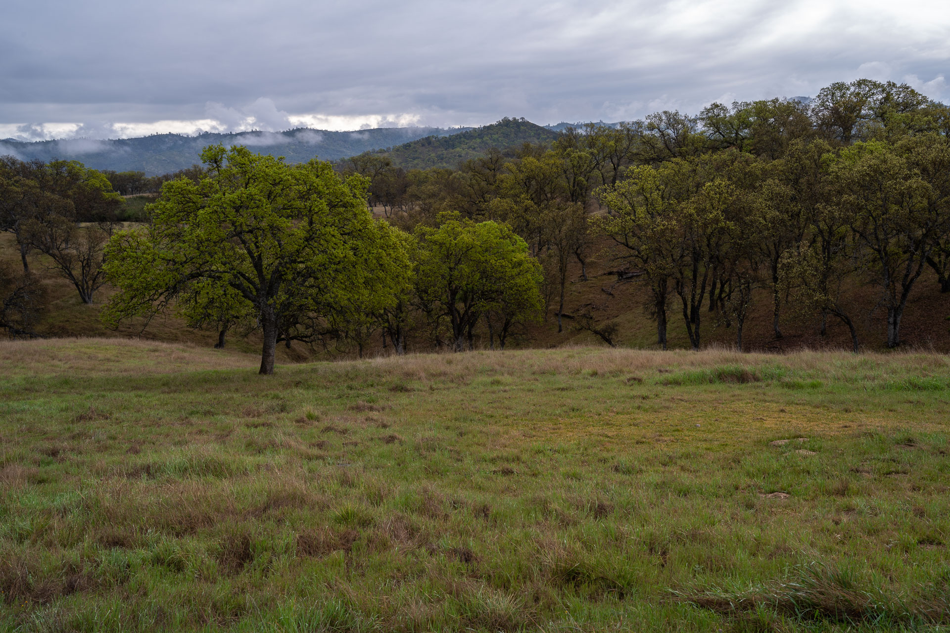 Henry Coe State Park | CK Outside