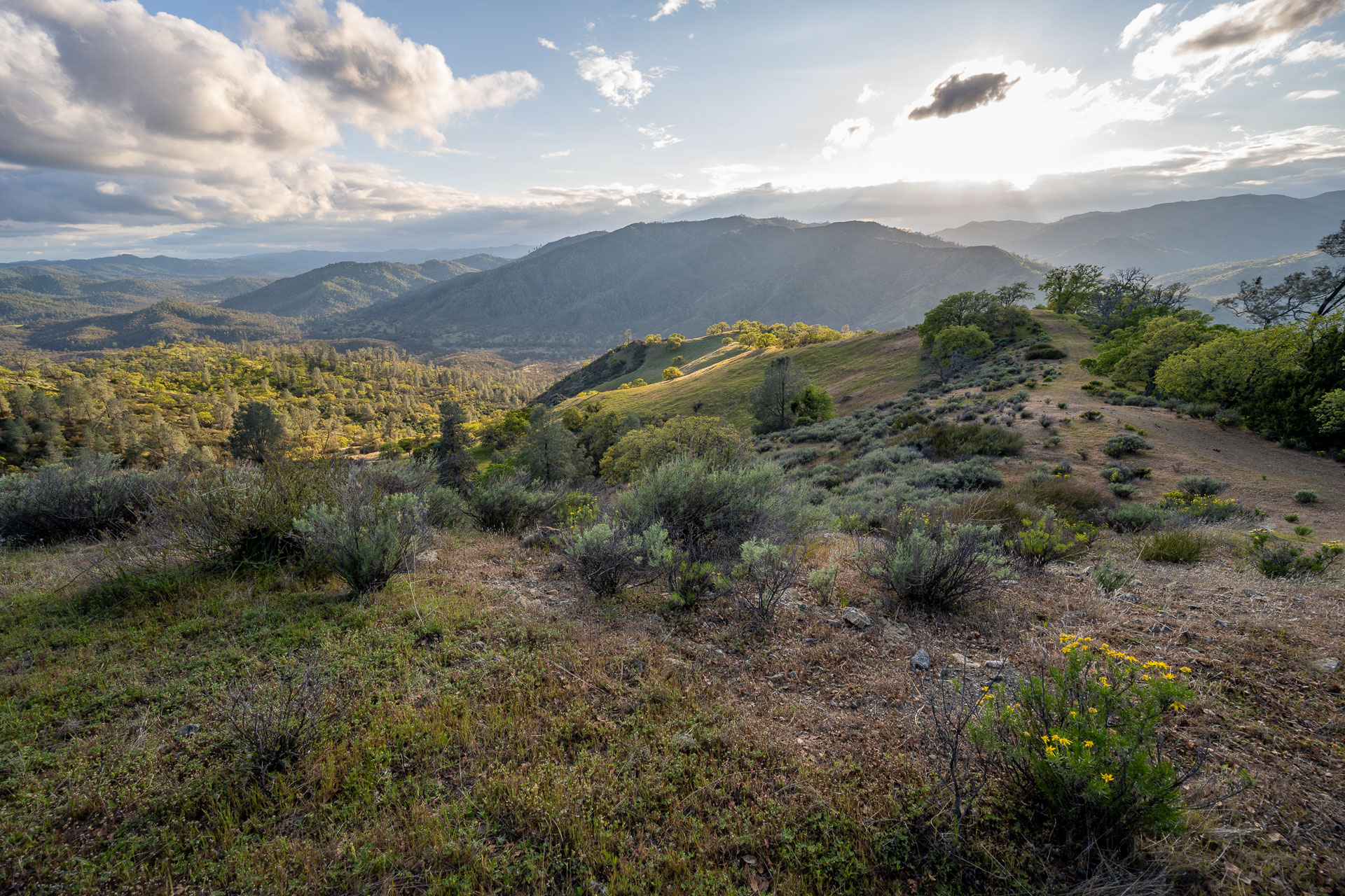 Henry Coe State Park | CK Outside